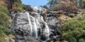 Ripple Waterfalls Munnar: Plan In Advance Before Your Trip - TripXL