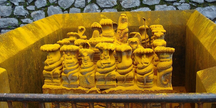 Top 14 Nagaraja Temples In Kerala For A Spiritual Solace - TripXL