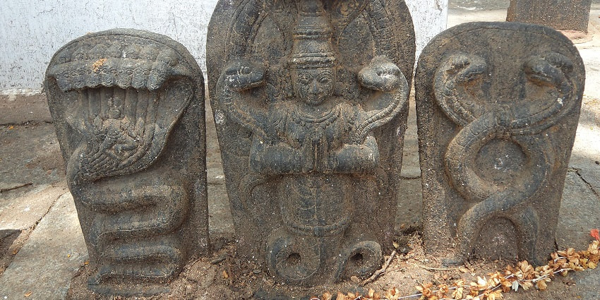 Top 14 Nagaraja Temples In Kerala For A Spiritual Solace - TripXL