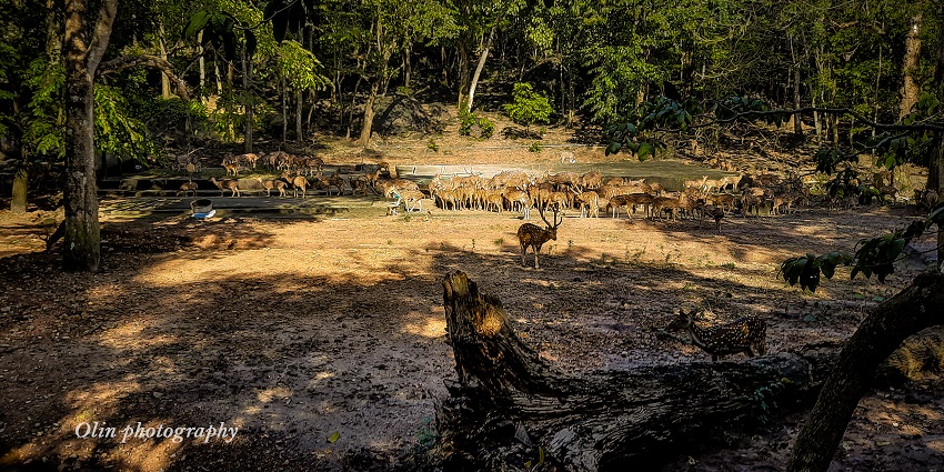 Popular Places To Visit Near Trivandrum: Find Hidden Gems - TripXL