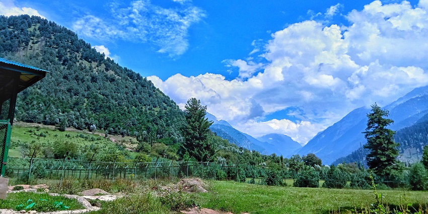 Overa-Aru Wildlife Sanctuary: Embrace The Untamed Wilderness- TripXL