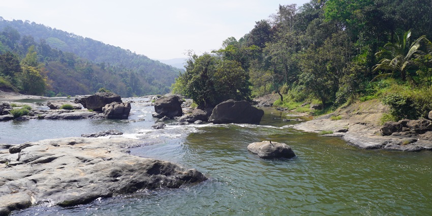 Waterfalls In Trivandrum: A Gate To Natural Charm Of Keral - TripXL