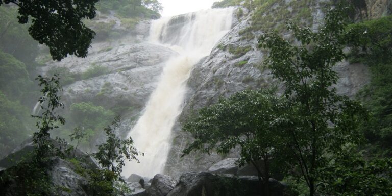 Top 10 Waterfalls In Kochi : Dipping Into Kerala's Hues Of Nature - TripXL
