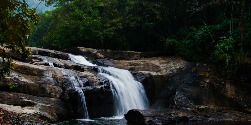 Marottichal Waterfalls: A Hidden Gem In The Woods Of Kerala - TripXL