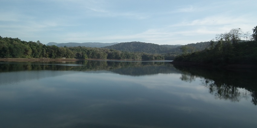 Explore the Beauty & Biodiversity of Peechi Wildlife Sanctuary- TripXL