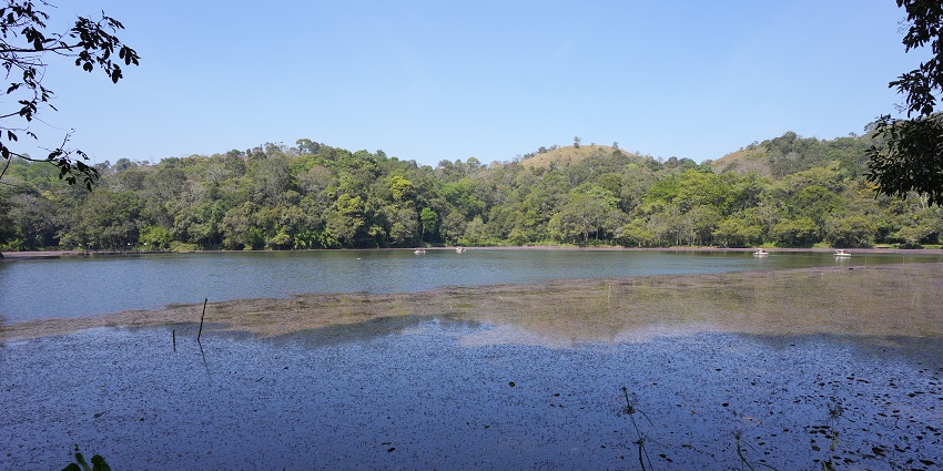 Places To Visit Near Sulthan Bathery: A Travelers Guide- TripXL