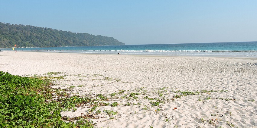 Radhanagar Beach: A Comprehensive Travel Guide For Everyone - TripXL