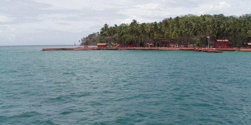 Mount Harriet National Park: A Trekker’s Natural Paradise - TripXL