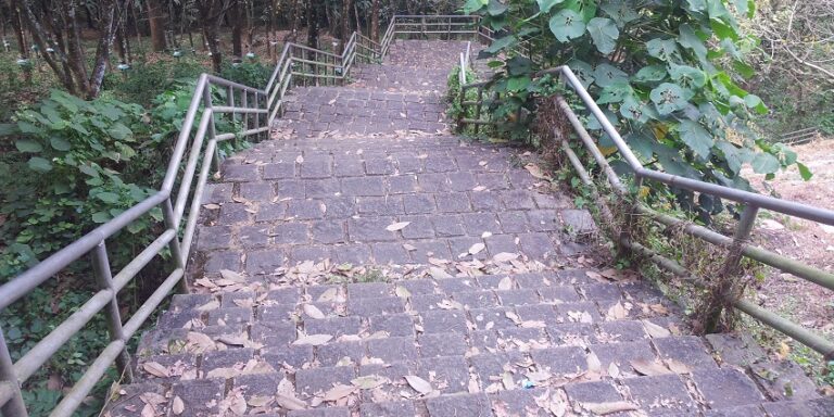 Areekkal Waterfalls: One Of The Most Beautiful Places In Kerala - TripXL