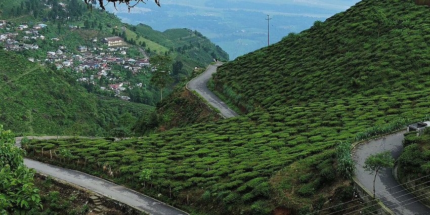 Discovering Best Places To Visit Near SIliguri: Wanderlust - TripXL