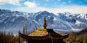 Top 14 Places To Visit In Srinagar In Winter: Complete Guide - TripXL