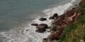 Beaches Near Thrissur For Every Nature Admirer’s List