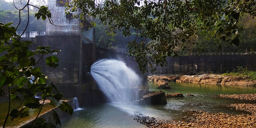 Palaruvi Waterfalls: An Awe-inspiring Cascade In Kerala- TripXL