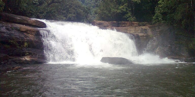Top 15 Places To Visit Near Thodupuzha For A Blissful Experience - TripXL