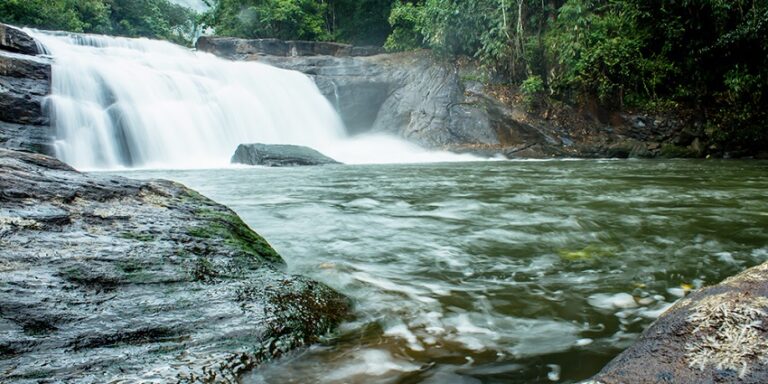 Places To Visit In Kanthalloor For An Escape In Nature’s Lap- TripXL