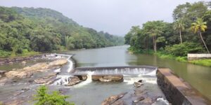 Places To Visit In Chalakudy For A Rejuvenating Retreat - TripXL