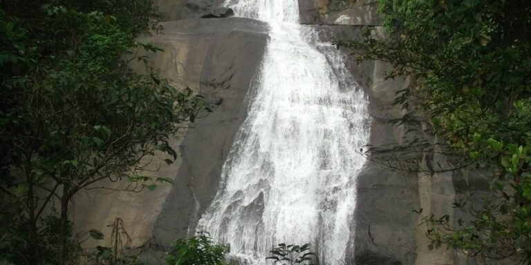 Top 10 Waterfalls In Kochi : Dipping Into Kerala's Hues Of Nature - TripXL