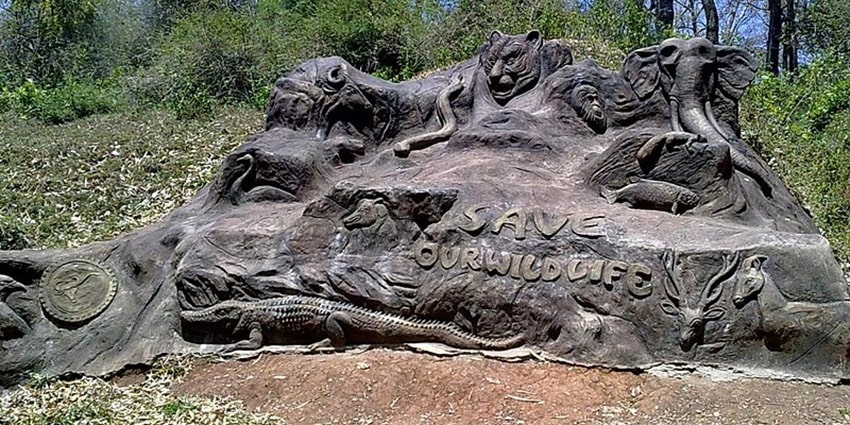 Meenvallam Waterfalls: One Of The Most Beautiful Waterfalls - TripXL