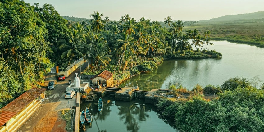 10 Things To Do In Munroe Island For A Blissful Experience - TripXL