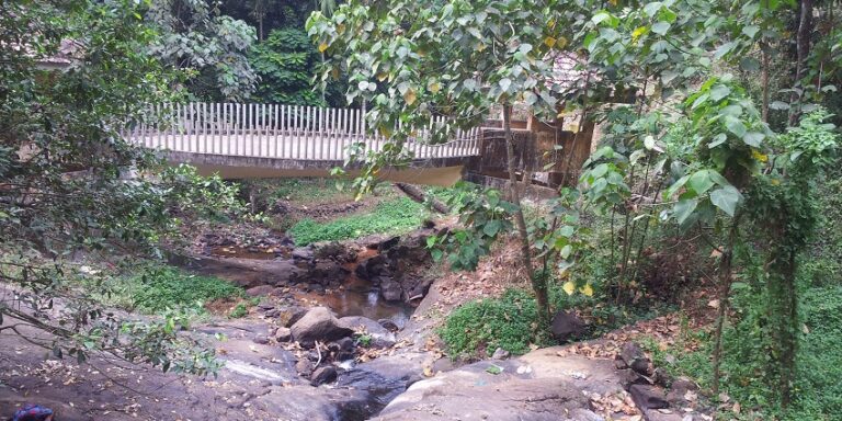 Areekkal Waterfalls: One Of The Most Beautiful Places In Kerala - TripXL