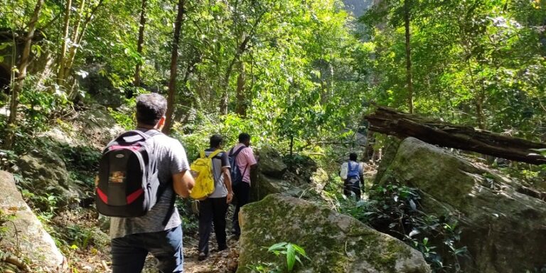 Galathea National Park: A Haven Of Biodiversity & Dense Forests- TripXL