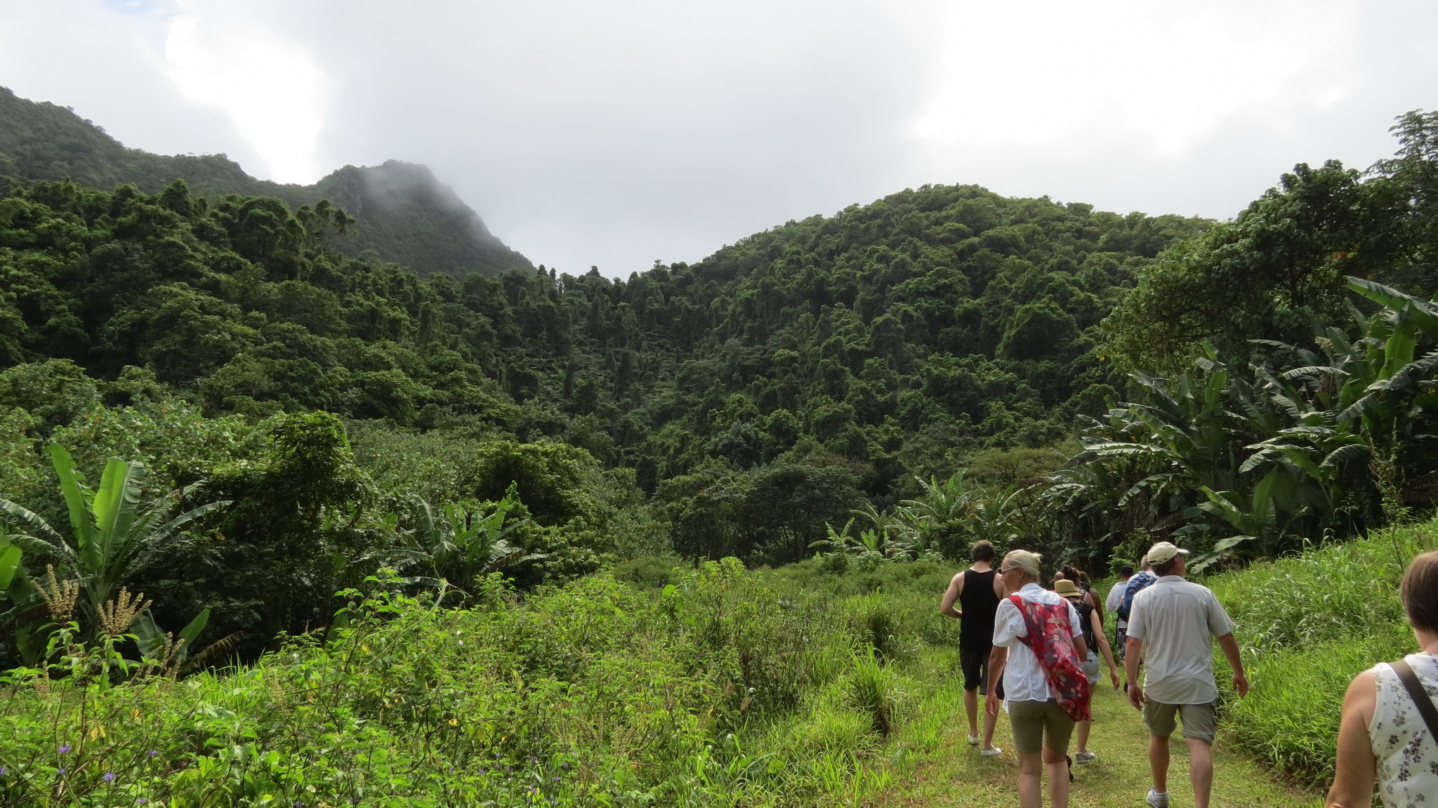 Elephant Beach: A Handy Guide For Your Upcoming Expedition - TripXL