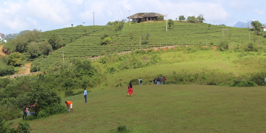 9 Places To Visit In Vagamon For A Scenic Escapade- TripXL