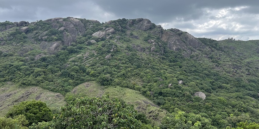 Vagamon Paragliding: Your Next Adventure In Kerala - TripXL