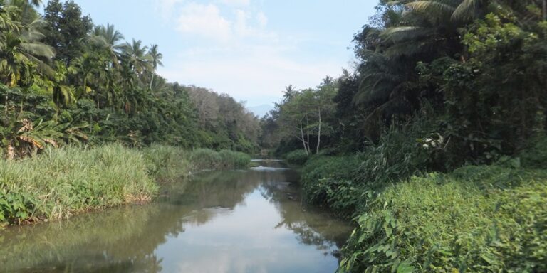 Top 13 Hill Stations In Trivandrum: Paradise At Heights - TripXL