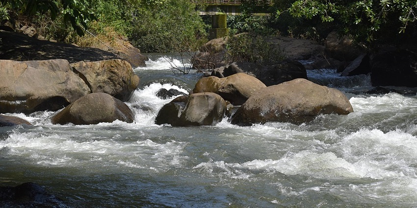 13 Pathanamthitta Waterfalls That You Should Not Miss - TripXL