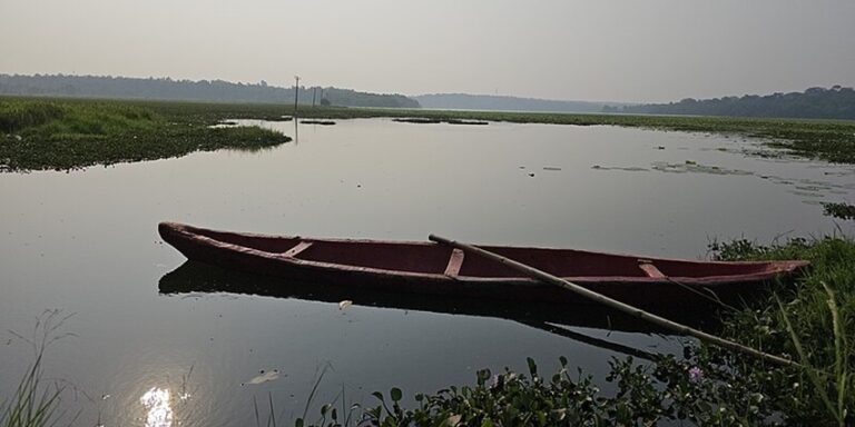 Vellayani Temple: Devotion & Tourism - TripXL