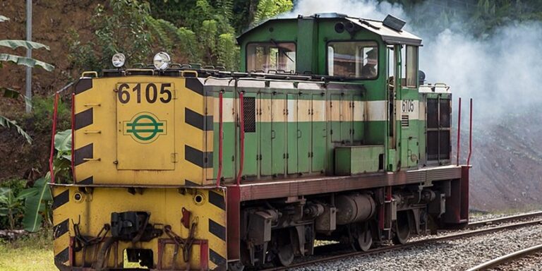 Vellayani Temple: Devotion & Tourism - TripXL