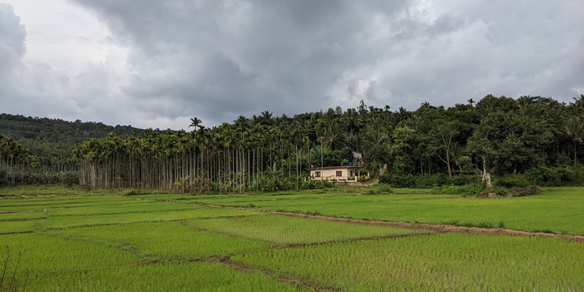 Wayanad Adventure Park: Ultimate Guide To Fun & Thrills - TripXL