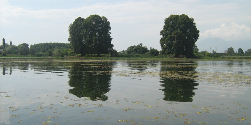 Popular Places To Visit In Srinagar In December For All - TripXL