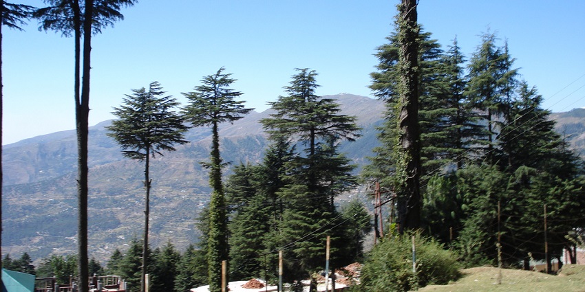10 Things To Do In Patnitop For A Breathtaking Experience - TripXL