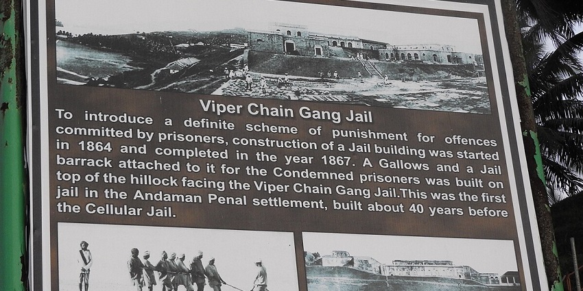 Discover Parrot Island: A Tropical Paradise for Nature Enthusiasts - TripXL