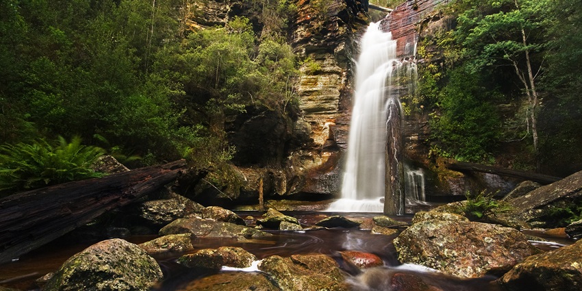Explore Marmala Waterfalls the Gem of Kottayam City, Kerala - TripXL