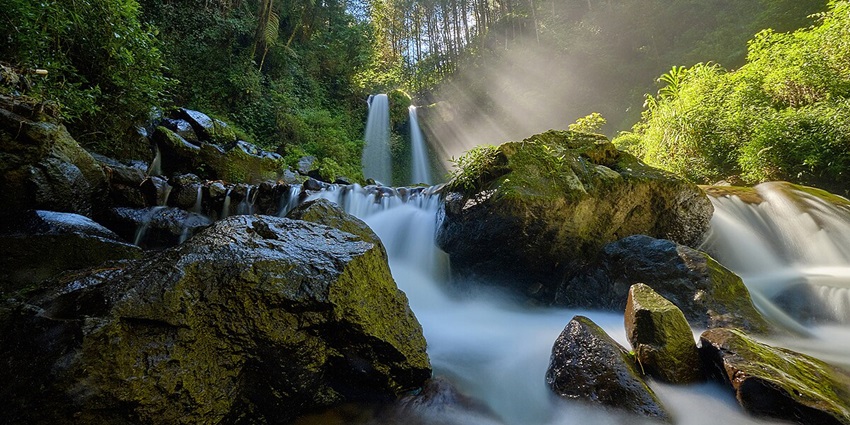 Explore The Pathrakadavu Waterfalls: The Gem Of Palakkad City- TripXL