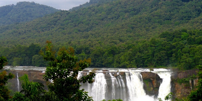 Top 6 Stunning Thekkady Waterfalls For Next Kerala Trip- TripXL