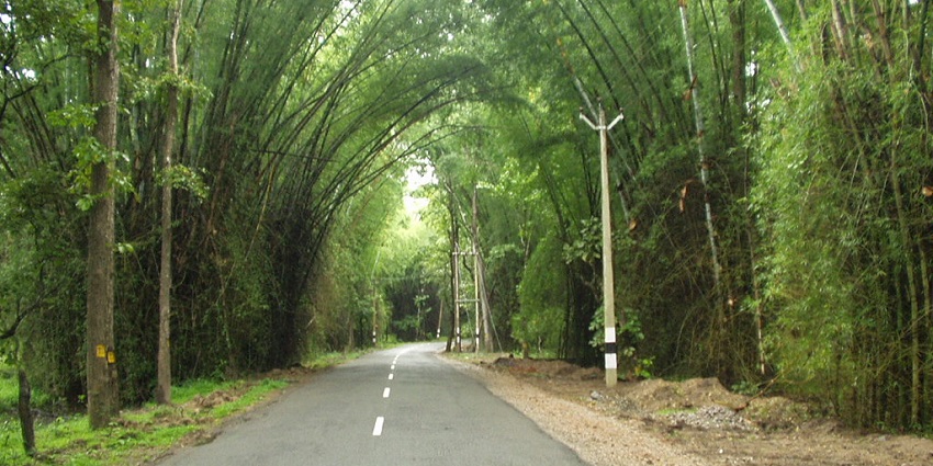 10 Best Places To Visit Near Wayanad: Hidden Wonders Of Kerala - TripXL