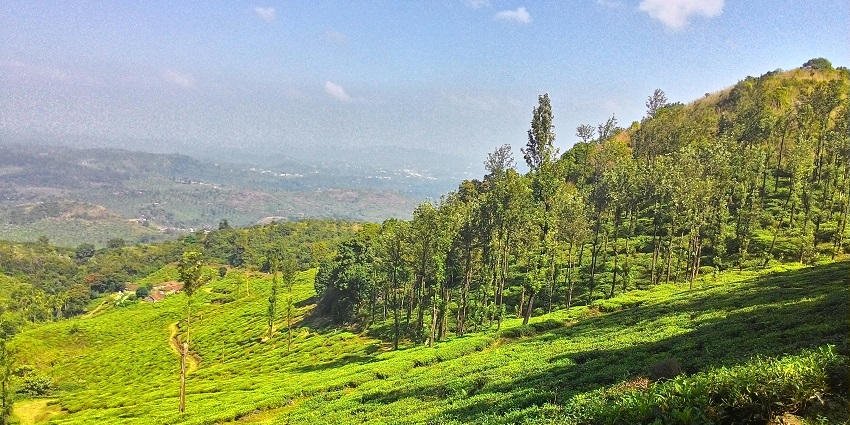 Kottiyoor Wildlife Sanctuary: Explore the Wildlife of Kerala- TripXL