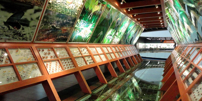 7 Museums In Port Blair Everyone Must Visit On Their Holiday - TripXL