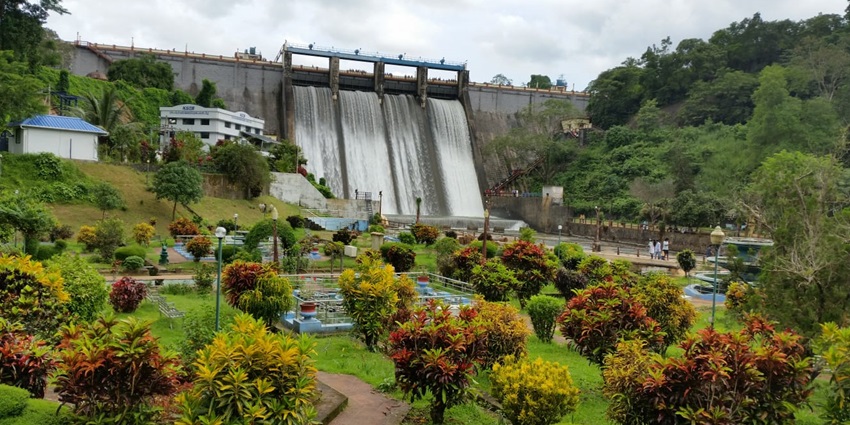 Explore the Beauty & Biodiversity of Peechi Wildlife Sanctuary- TripXL