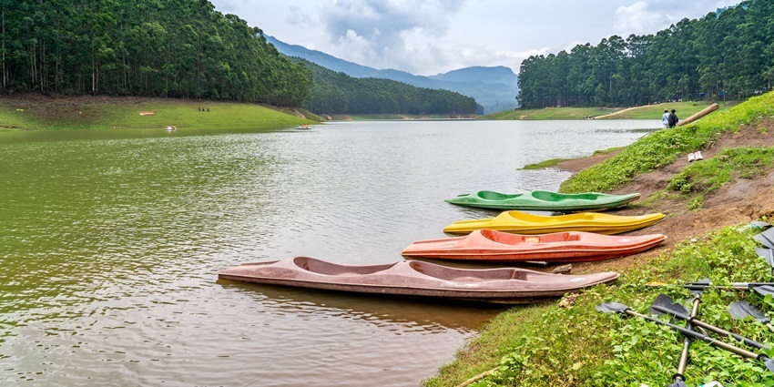 Top 10 Shopping In Munnar Hotspots For Retail Therapy - TripXL