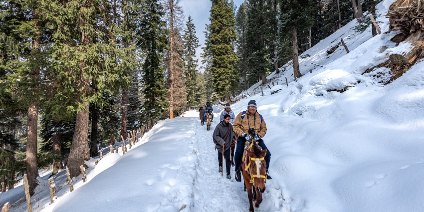 Baisaran Valley In Winter: Stunning Visuals Of Lush Mountains - TripXL