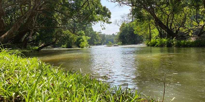 6 Wildlife Sanctuaries In Wayanad: Your Ultimate Adventure - TripXL