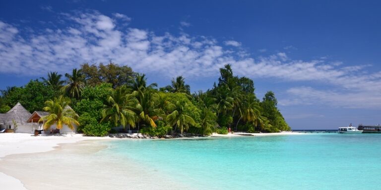 Explore Addu Nature Park: Wetlands On The Hithadhoo Island - TripXL