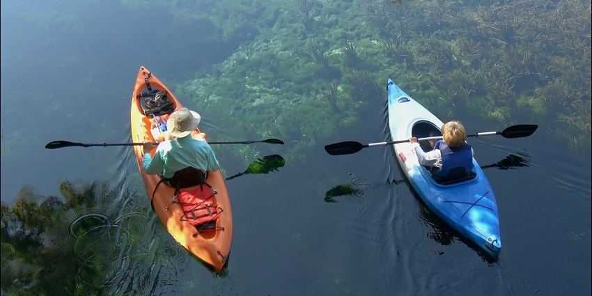 Kayaking In Phuket: Your Complete Guide To Adventurous Time - TripXL