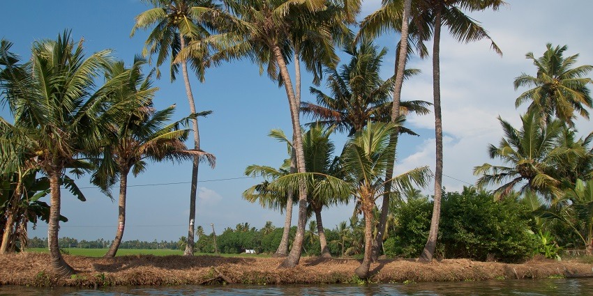 East Fort: The Cultural Landmark In The Thiruvananthapuram - TripXL