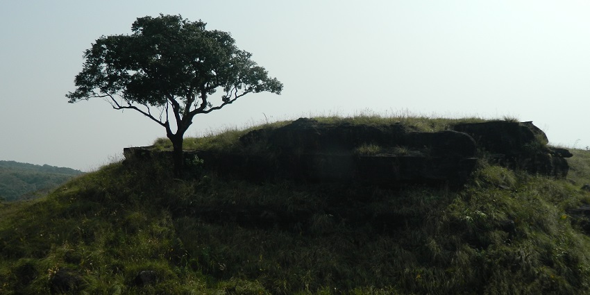 Balpakram National Park: All You Need To Know About - TripXL